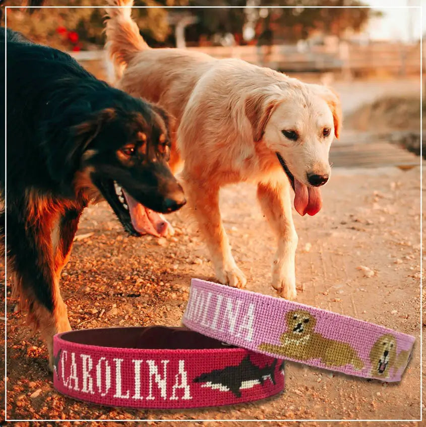 Dogs – Brewster Belt